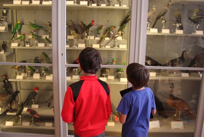 Muséum de La Rochelle